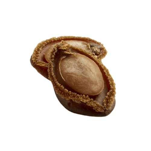 日本吉品鲍鱼Japanese Kippin Abalone – YING YEAP
