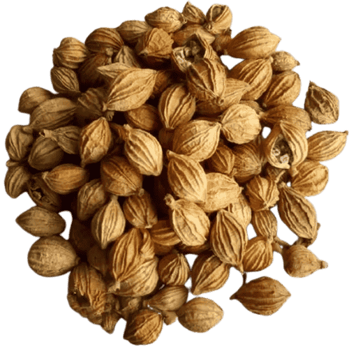 砂仁 (Fructus Amomi/Buah Pelaga) – YING YEAP
